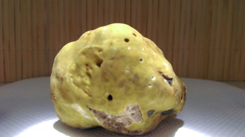 Fresh White Truffles - 4 oz - Finest Truffle Oil and Truffle Salt ...